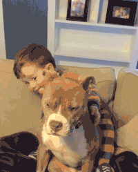 Giddy GIFs - Get the best gif on GIFER