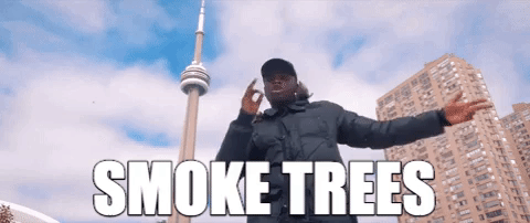 Smoke trees GIF - Conseguir o melhor gif em GIFER