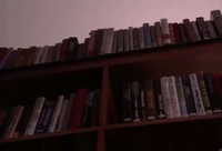 Incorrigible GIFs - Get the best gif on GIFER