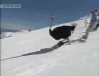 Epico GIFs - Get the best gif on GIFER