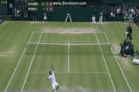 Wimbledon GIFs - Get the best gif on GIFER