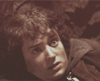 Fellowship GIFs - Get the best gif on GIFER