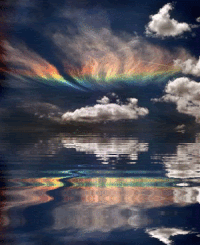 Iris GIFs - Get the best gif on GIFER