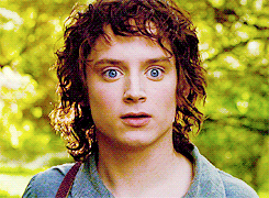 Frodo baggins GIFs - Get the best gif on GIFER