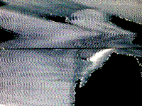 Interference GIFs - Get the best gif on GIFER