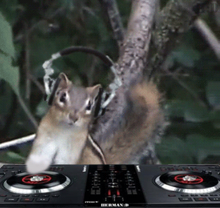 Tamia GIFs - Get the best gif on GIFER