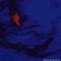 Predador GIFs - Get the best gif on GIFER
