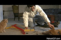 Energia GIFs - Get the best gif on GIFER