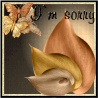 Apologies GIFs - Get the best gif on GIFER