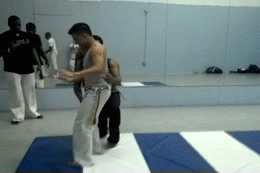 Handspring GIFs - Get the best gif on GIFER