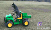 Beep GIFs - Get the best gif on GIFER