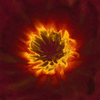 Dissolving GIFs - Get the best gif on GIFER