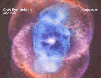 Nebula cat GIFs - Get the best gif on GIFER