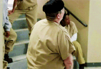 Shillings GIFs - Get the best gif on GIFER