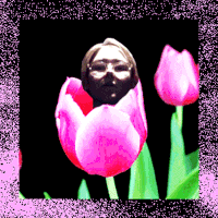 Bitmap GIFs - Get the best gif on GIFER