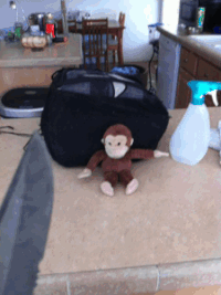 Gifboom GIFs - Get the best gif on GIFER