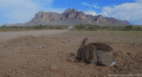 Granada GIFs - Get the best gif on GIFER