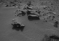 Curiosity GIFs - Get the best gif on GIFER