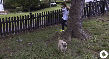 Edger GIFs - Get the best gif on GIFER