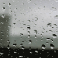 Millennium GIFs - Get the best gif on GIFER