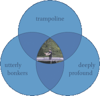 Involved GIFs - Get the best gif on GIFER