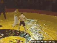 Elbow GIFs - Get the best gif on GIFER