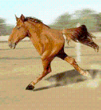 Invalid GIFs - Get the best gif on GIFER