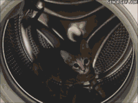 Washing GIFs - Get the best gif on GIFER