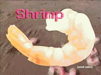Jumbo shrimp GIFs - Get the best gif on GIFER