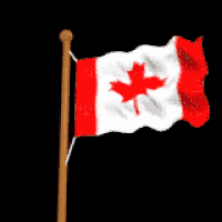 Foley GIFs - Get the best gif on GIFER