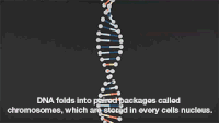 Biochemistry GIFs - Get the best gif on GIFER