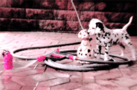 Bred GIFs - Get the best gif on GIFER
