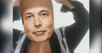 Elon GIFs - Get the best gif on GIFER