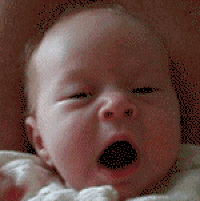 Welfare GIFs - Get the best gif on GIFER
