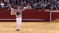 Toro GIFs - Get the best gif on GIFER