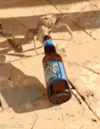 Wot GIFs - Get the best gif on GIFER