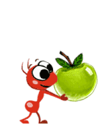 Ants GIFs - Get the best gif on GIFER