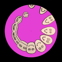 Disk GIFs - Get the best gif on GIFER