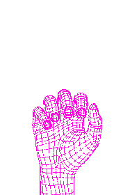 Musculoskeletal GIFs - Get the best gif on GIFER