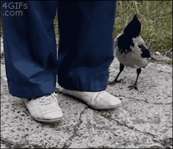 Untie GIFs - Get the best gif on GIFER