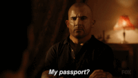 Passport GIFs - Get the best gif on GIFER