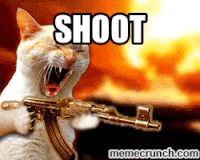 Spaz GIFs - Get the best gif on GIFER