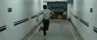 Mazes GIFs - Get the best gif on GIFER