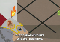 Gerbil GIFs - Get the best gif on GIFER