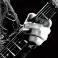 Pantera GIFs - Get the best gif on GIFER