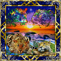 Леопард GIFs - Get the best gif on GIFER