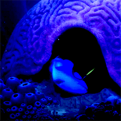 Fn GIFs - Get the best gif on GIFER