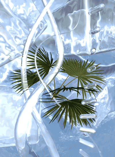 Tropical plant GIFs - Obtenez le meilleur gif sur GIFER
