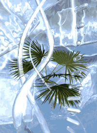 Refrigerator GIFs - Get the best gif on GIFER