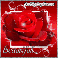 Contest GIFs - Get the best gif on GIFER